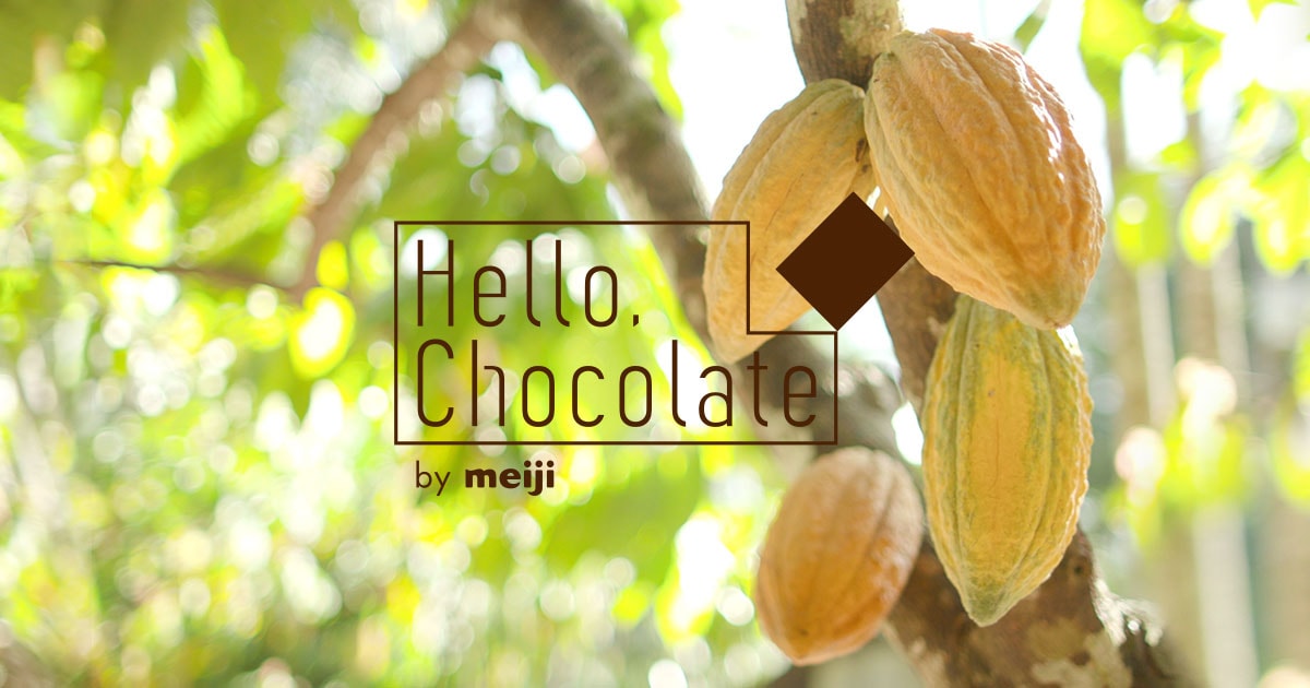 Hello, Chocolate（ハローチョコレート）｜ 株式会社 明治 - Meiji Co., Ltd.